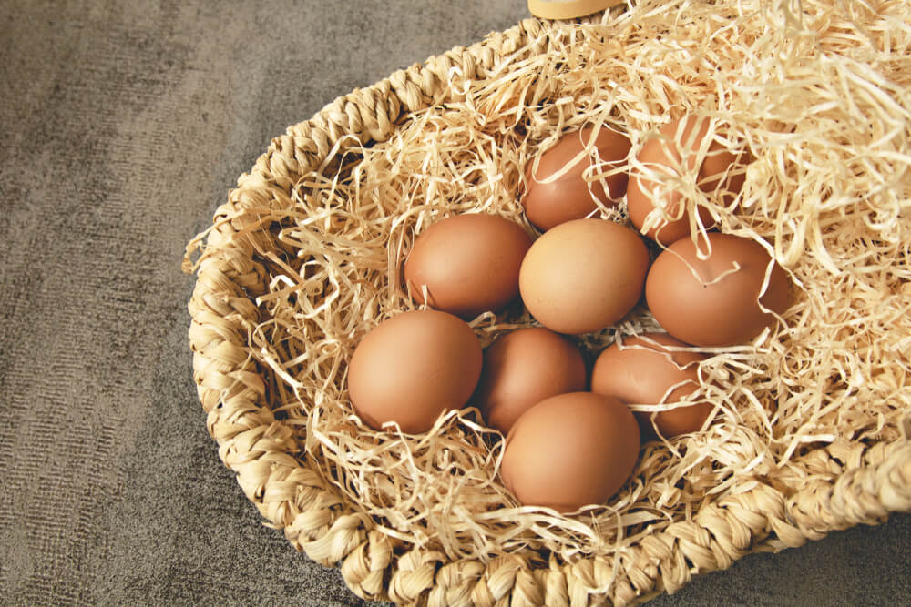 Are Eggs Dairy? Why or Why Not? – Samsung Food