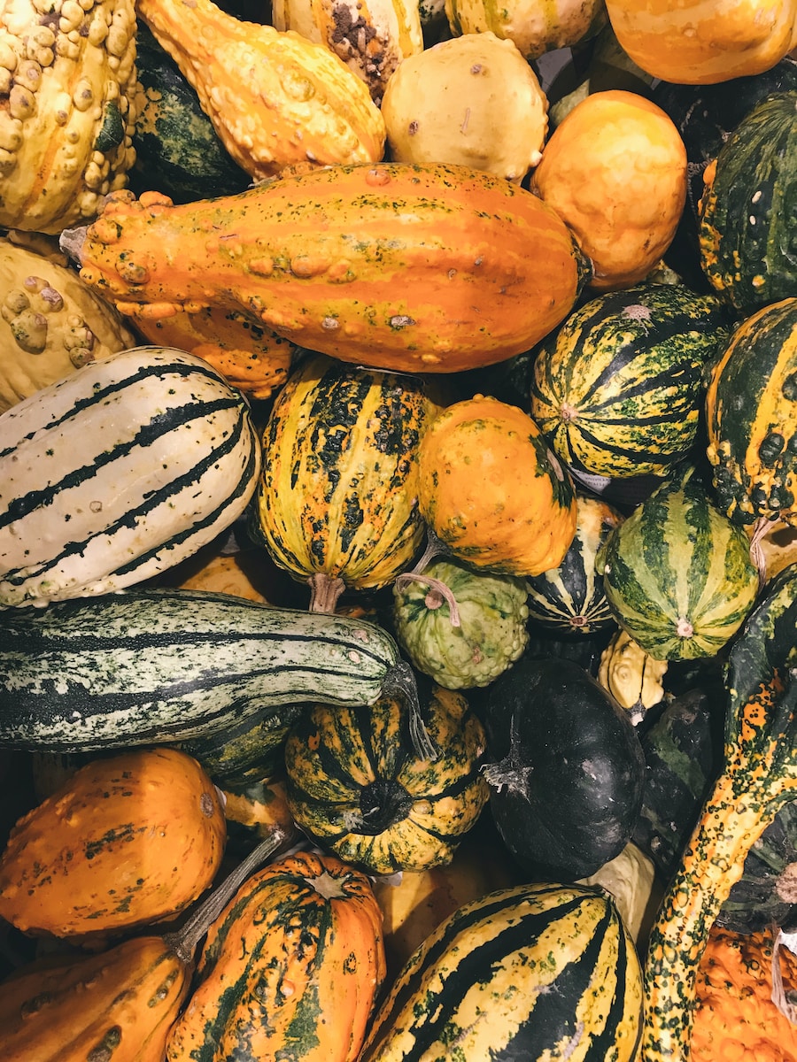 40 Different Types of Squash [from A-Z] – Samsung Food
