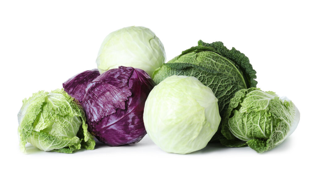 27 Types of Cabbage [Classic to Exotic Varieties] – Samsung Food