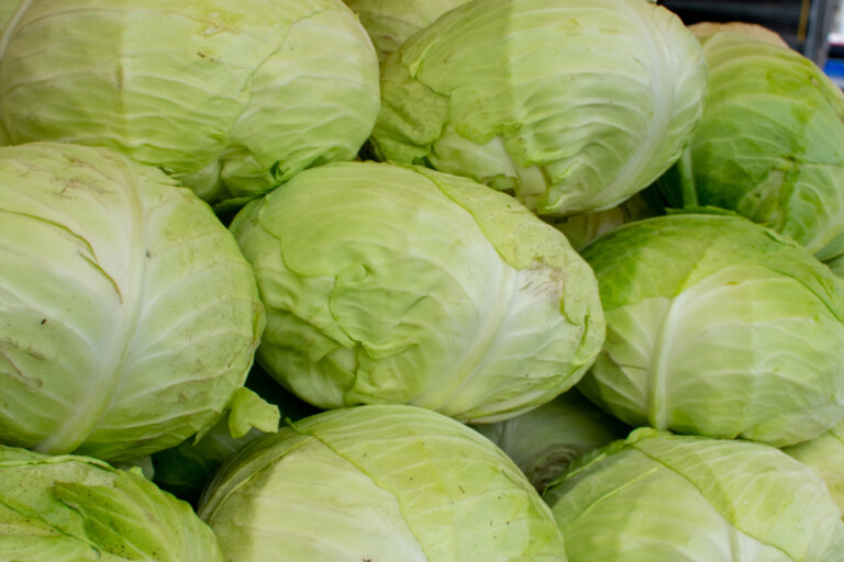 27 Types of Cabbage [Classic to Exotic Varieties] – Samsung Food