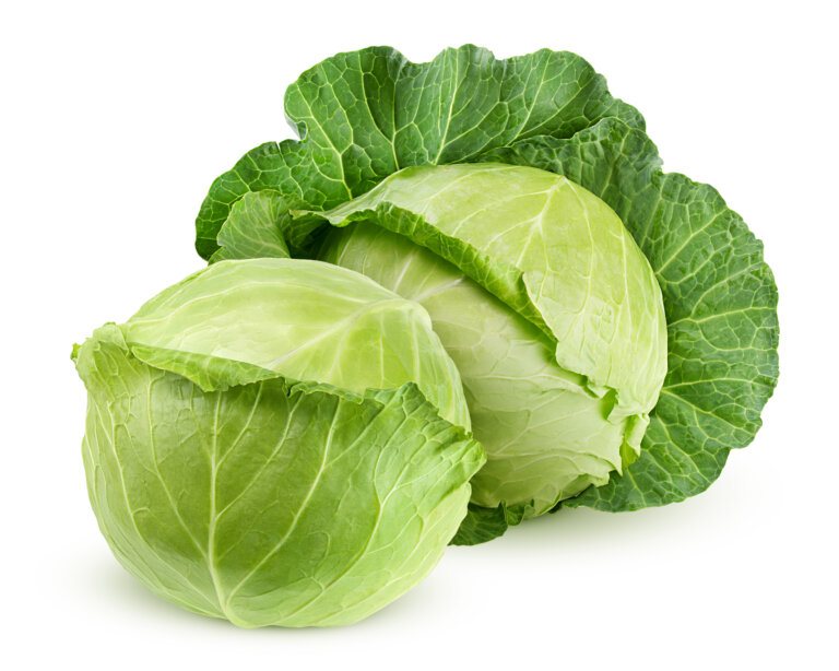 27 Types of Cabbage [Classic to Exotic Varieties] – Samsung Food