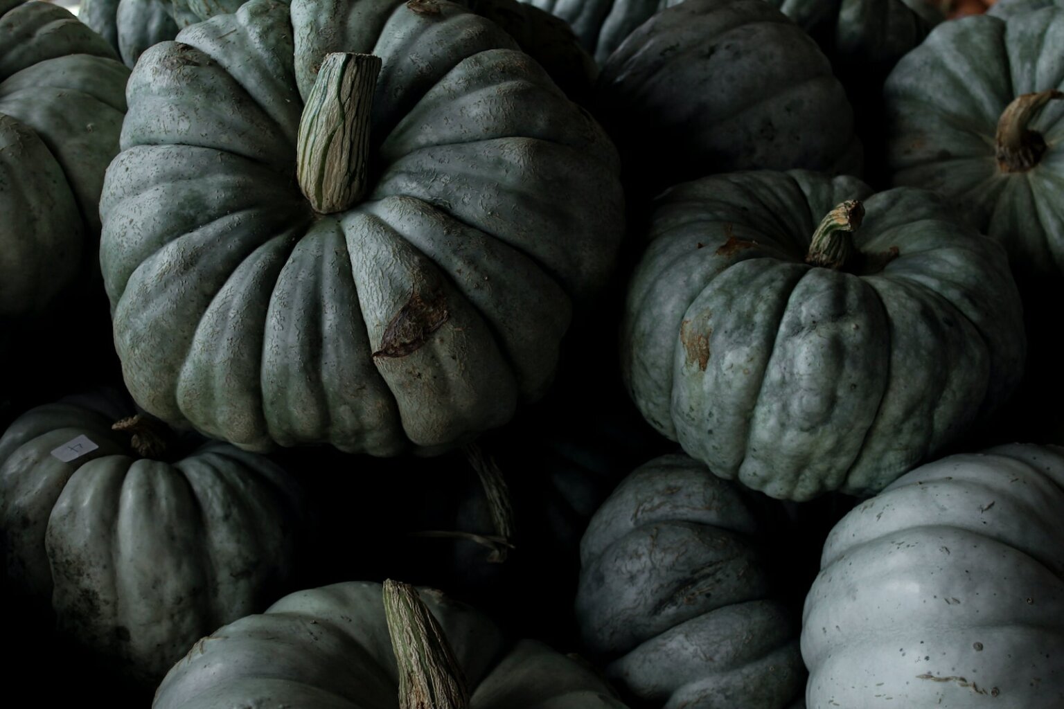 40 Different Types of Squash [from A-Z] – Samsung Food
